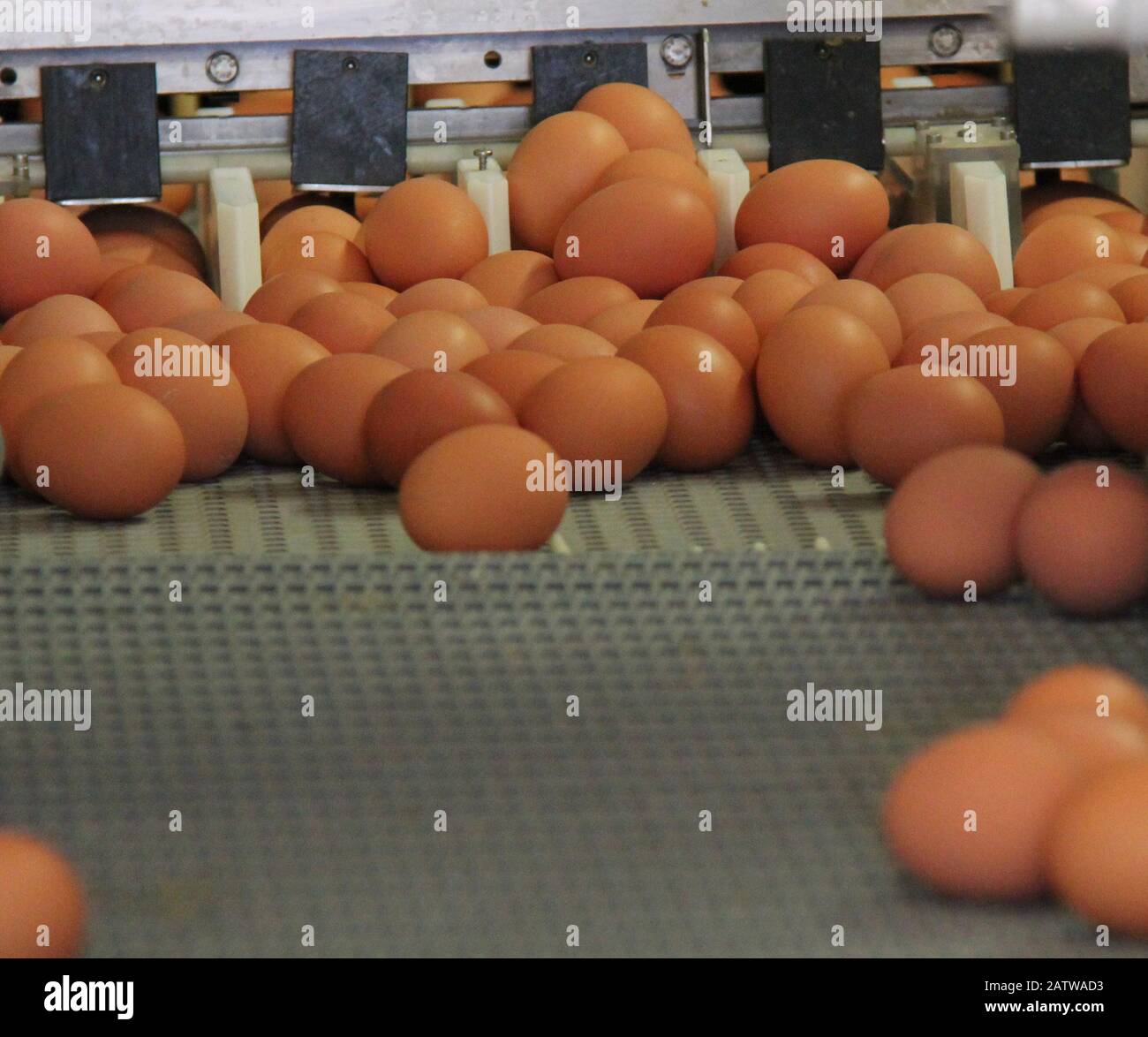 Sorting machine hi-res stock photography and images - Alamy