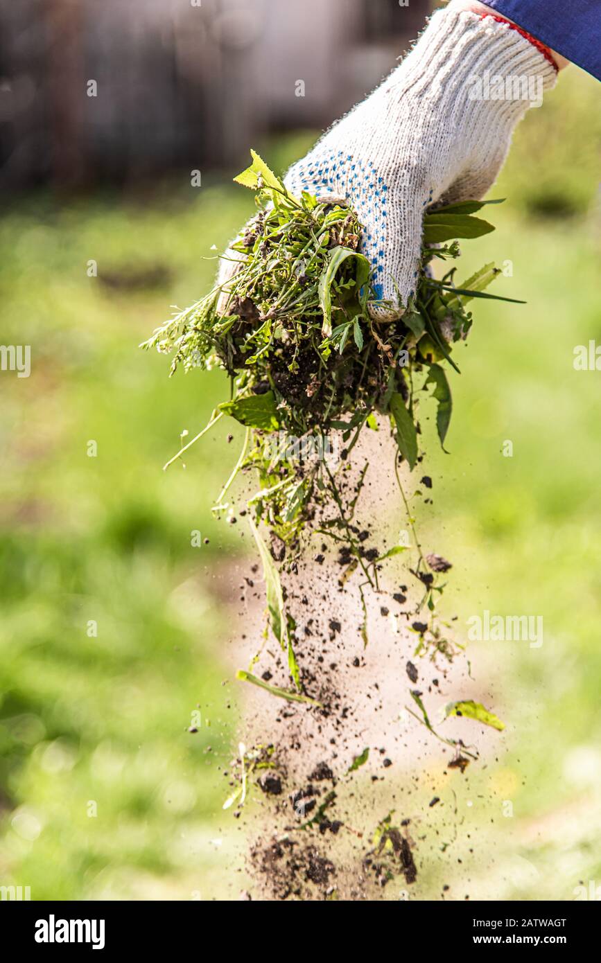 Out of weed hi-res stock photography and images - Alamy