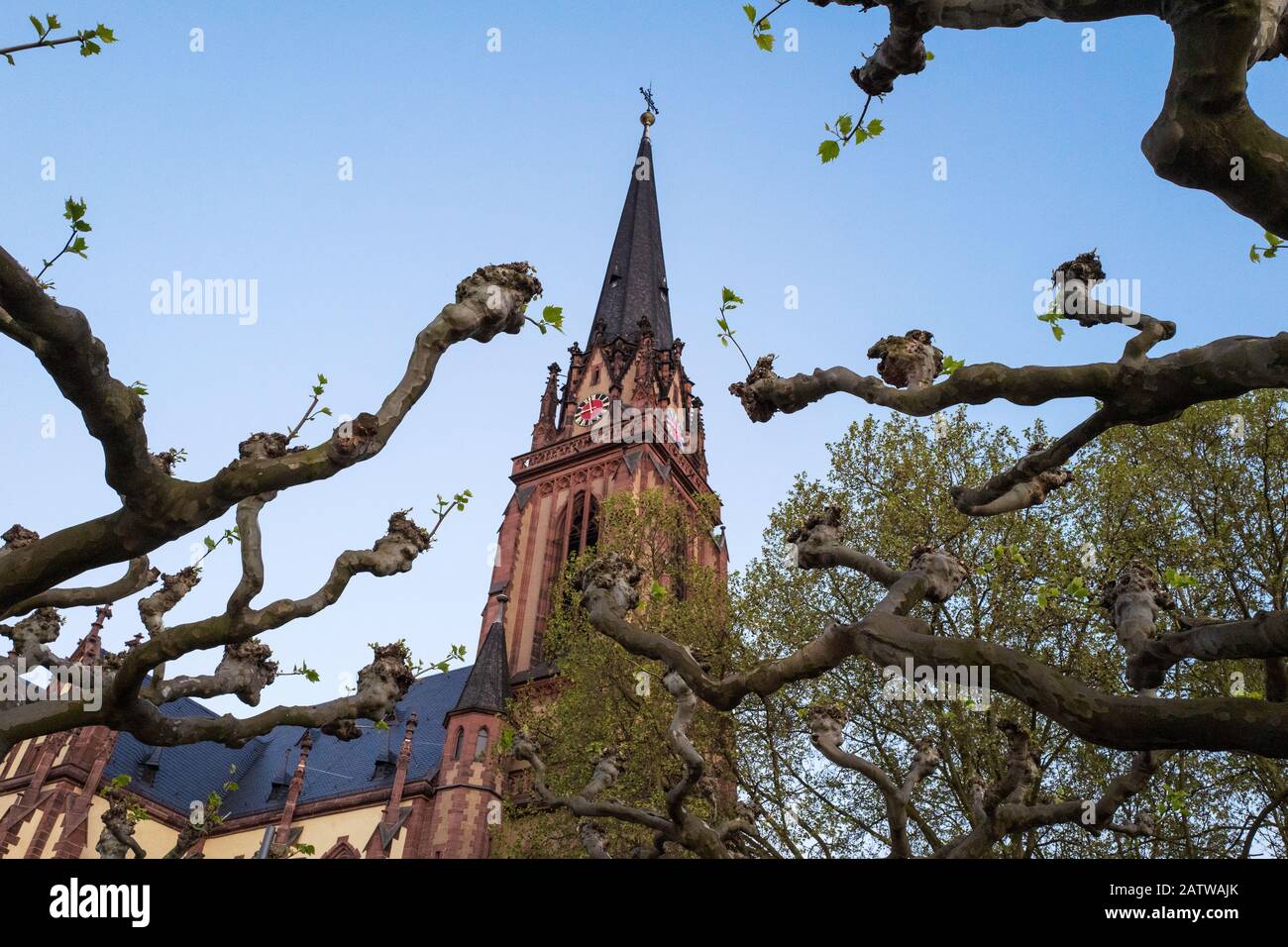 Consecrated 1881 hi-res stock photography and images - Alamy