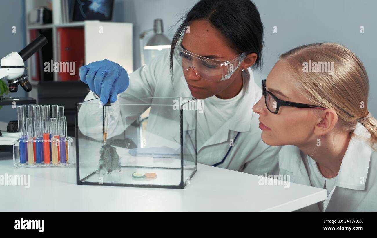 Animals Doing Science