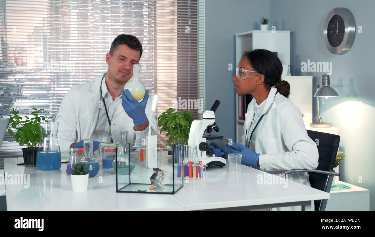 Two multiracial research scientists discussing the experiment with ...