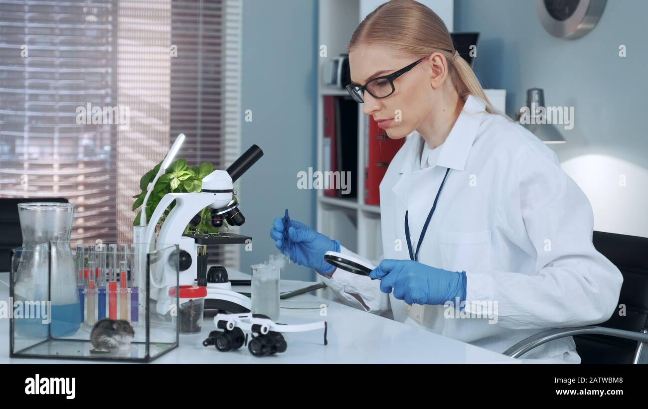 Chemistry doctor putting tabletes with tweezers into lab tube and ...