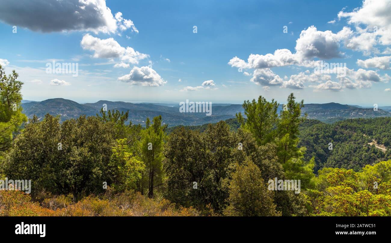 Cyprus trees hi-res stock photography and images - Alamy
