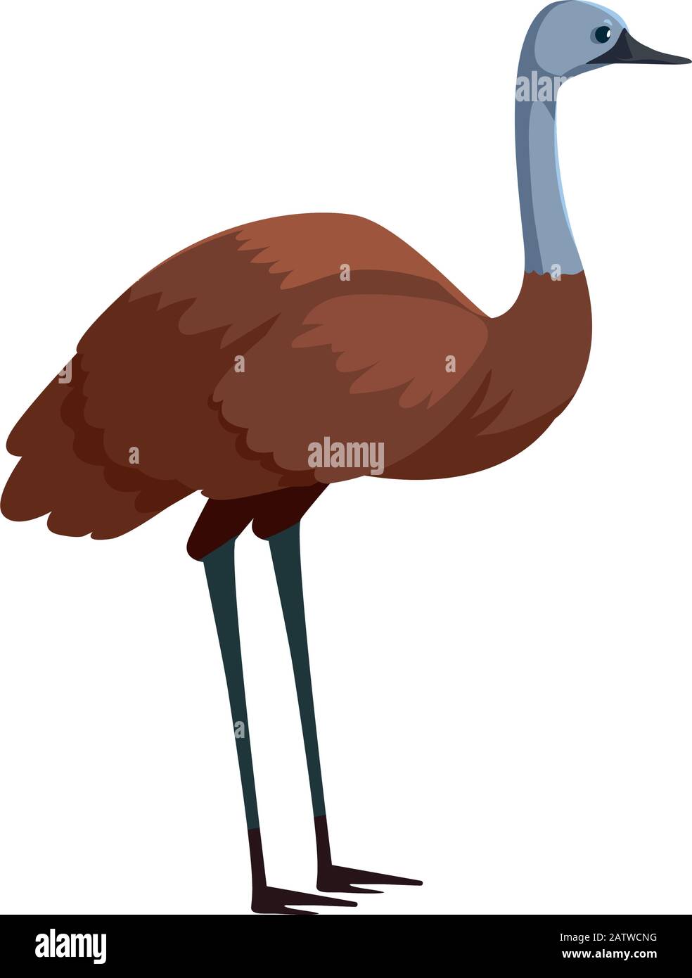 cute emu on white background vector illustration design Stock Vector ...