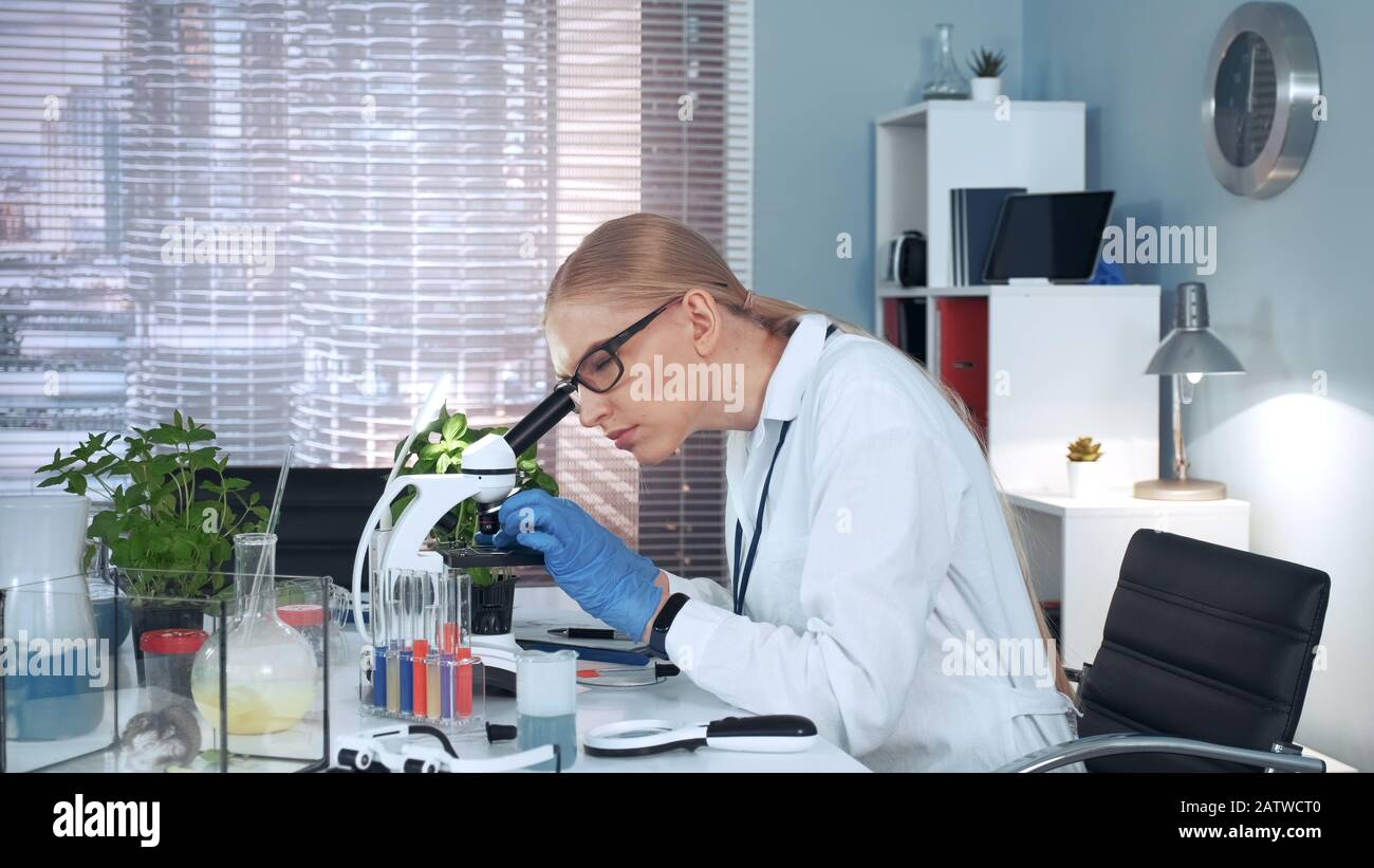 In modern research laboratory: female scientist using pipette to drop ...