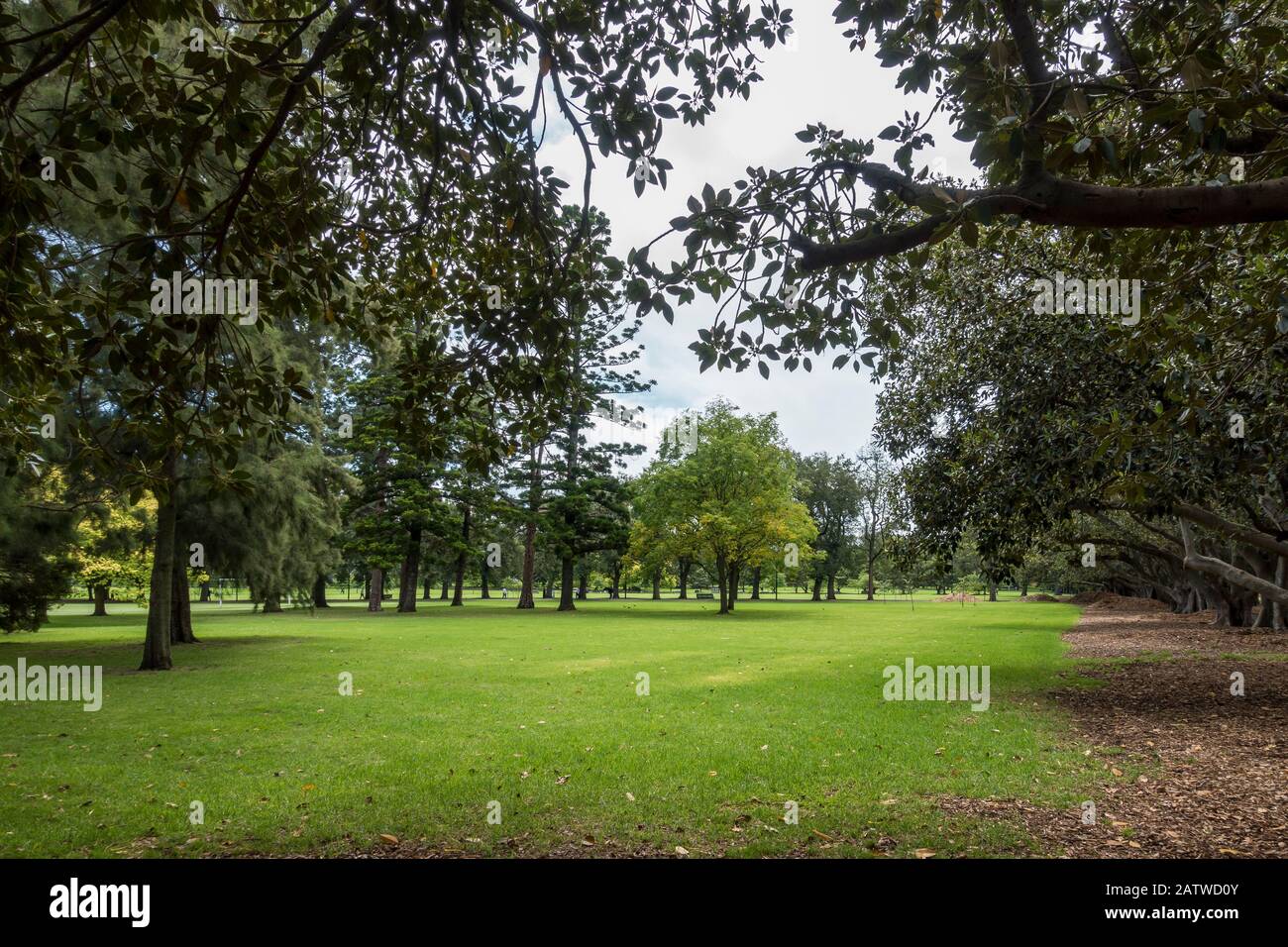 Fawkner park hi-res stock photography and images - Alamy