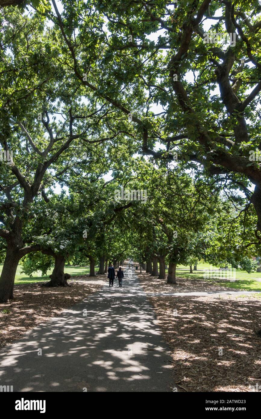 Fawkner park hi-res stock photography and images - Alamy