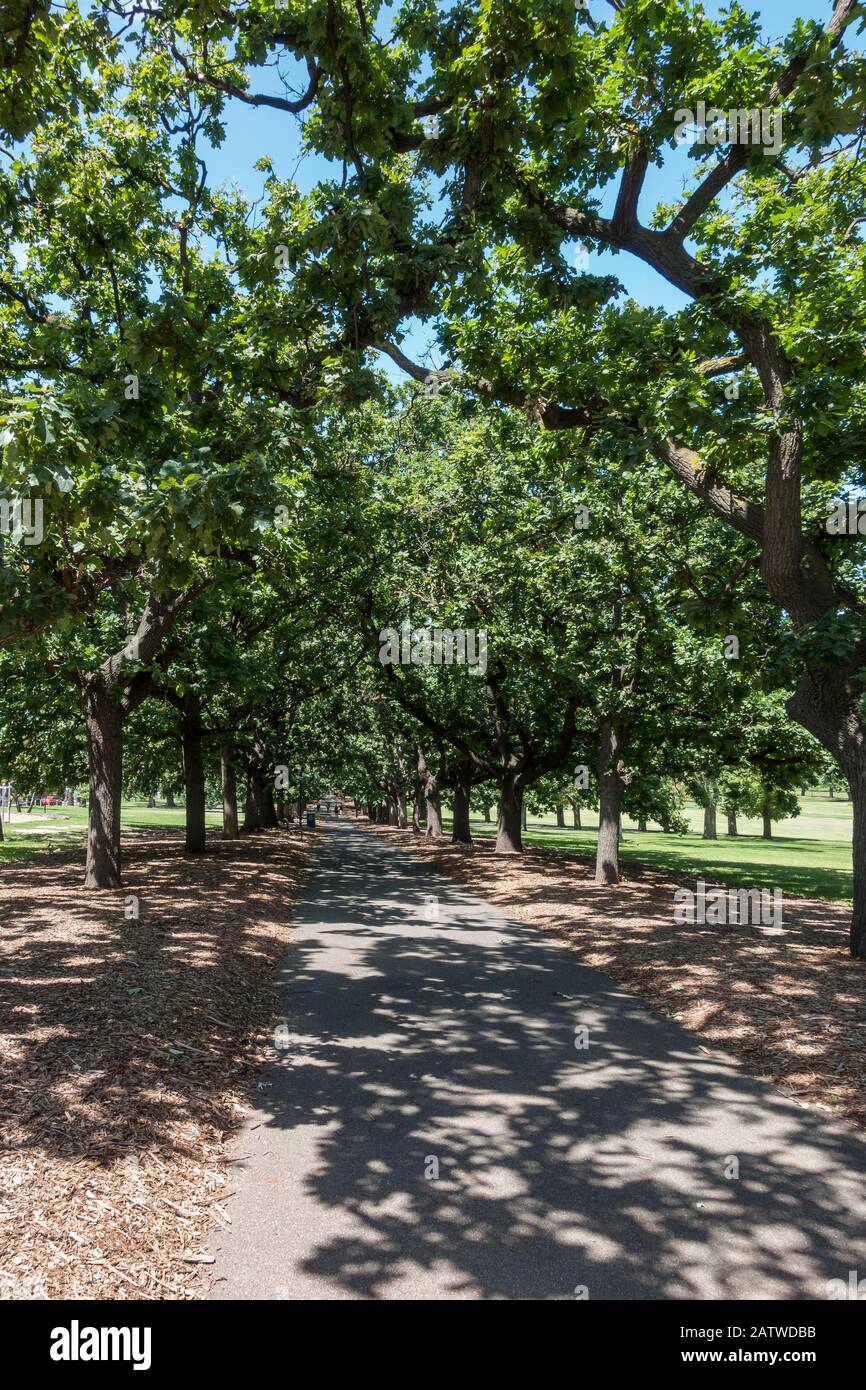 Summertime in Fawkner Park, Melbourne, Australia Stock Photo - Alamy