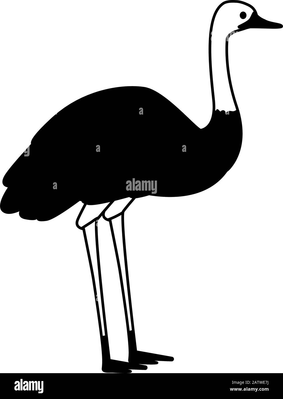 cute emu on white background vector illustration design Stock Vector ...