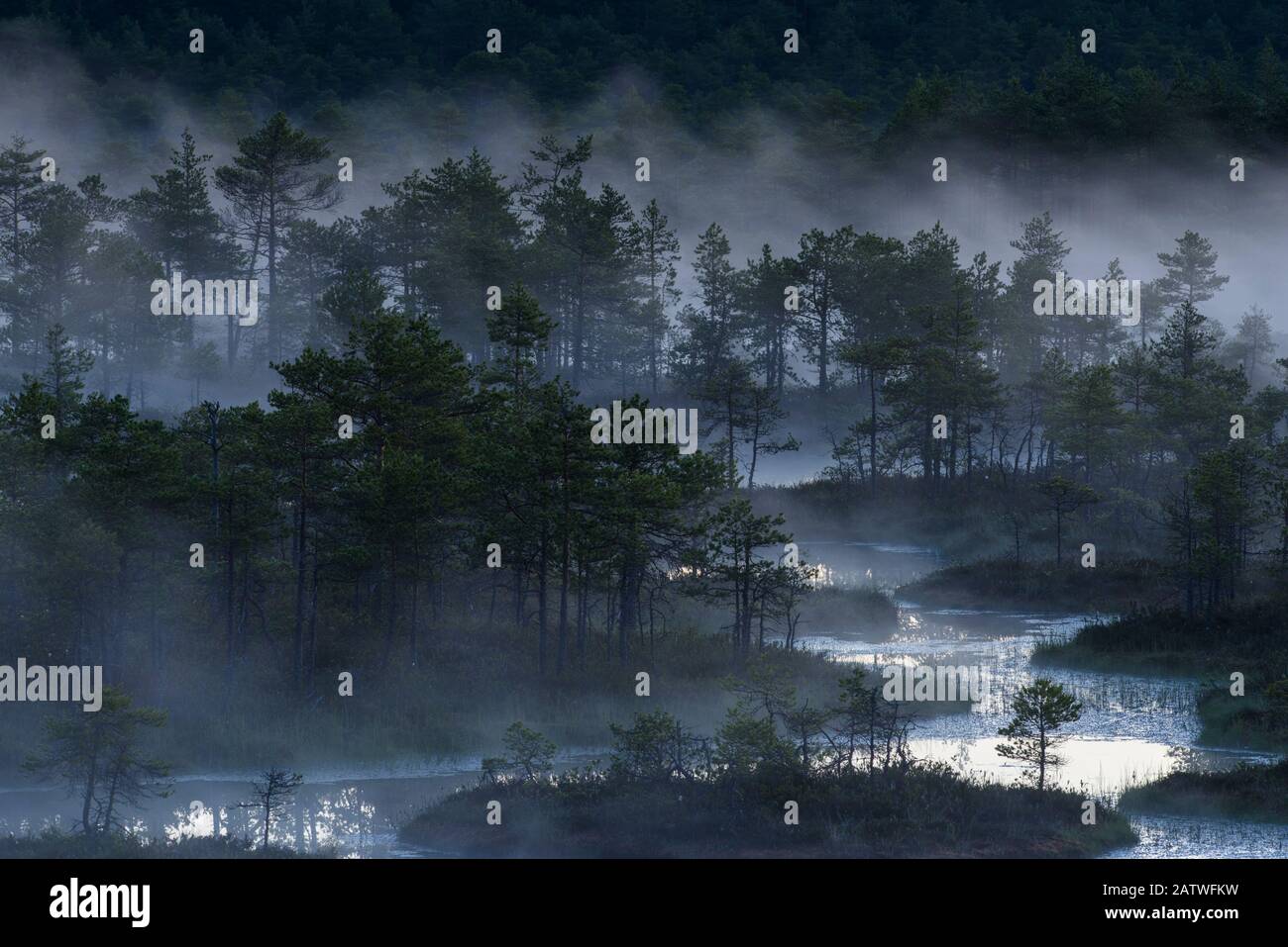 Jogeva silhouette hi-res stock photography and images - Alamy