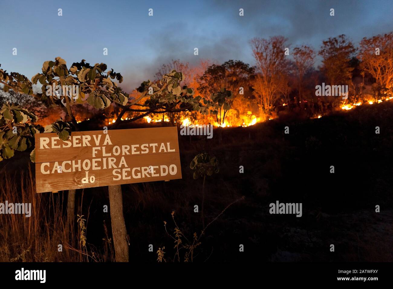 Forest fire in the Cerrado during dry season. Chapada dos Veadeiros ...