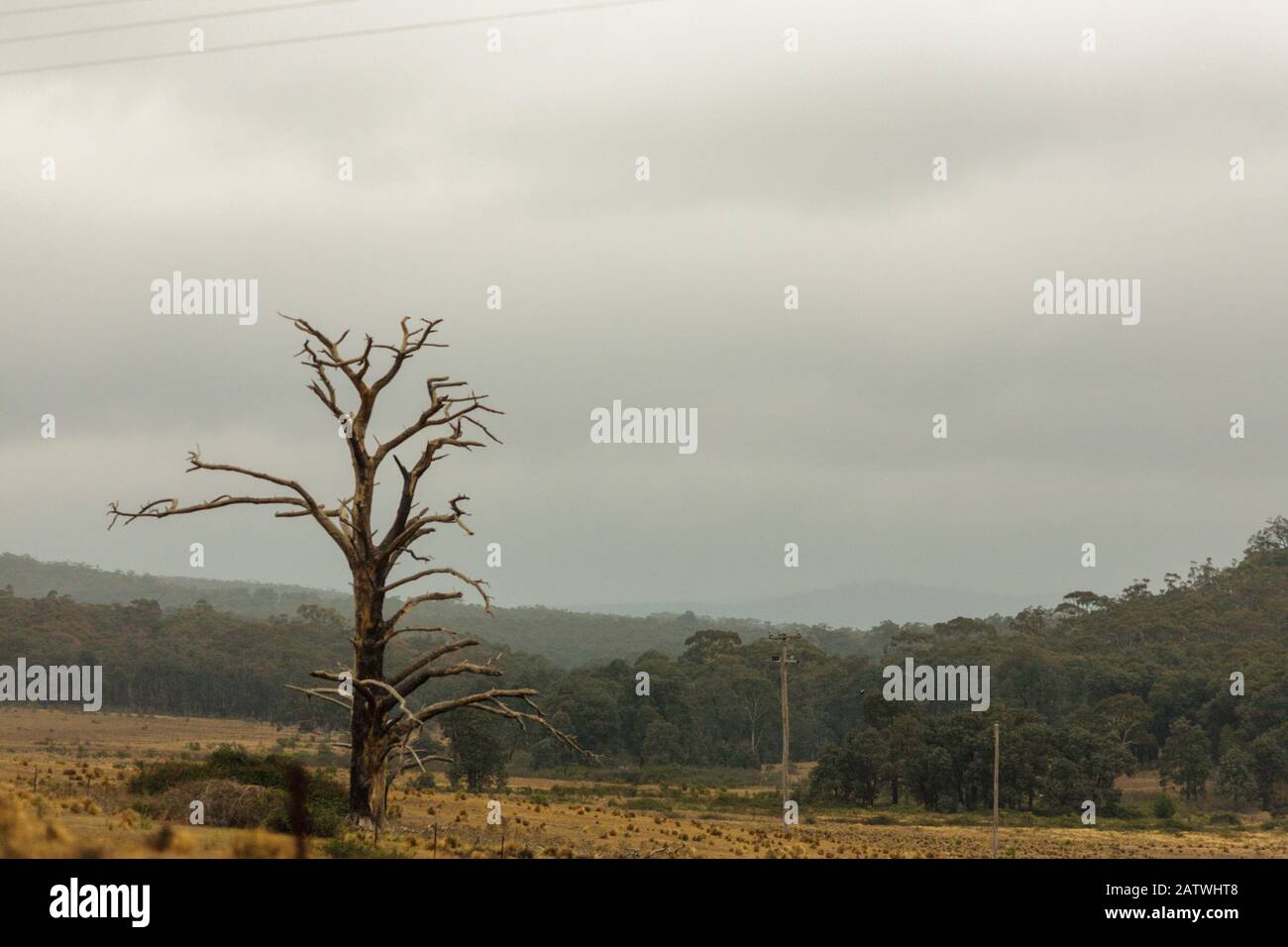 Rural environment australia hi-res stock photography and images - Alamy