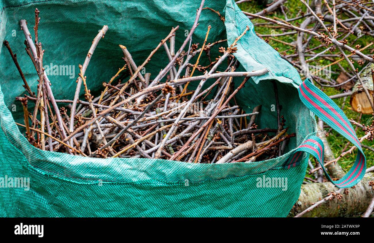 Tree hedge pruning waste hi-res stock photography and images - Alamy