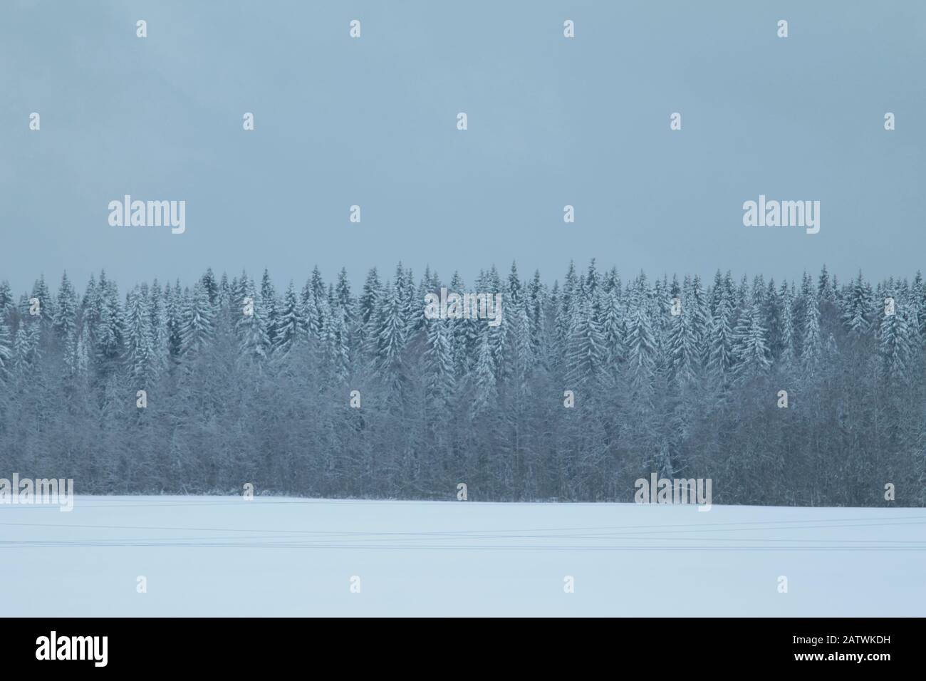 Beautiful scenery trees snowy field hi-res stock photography and images ...