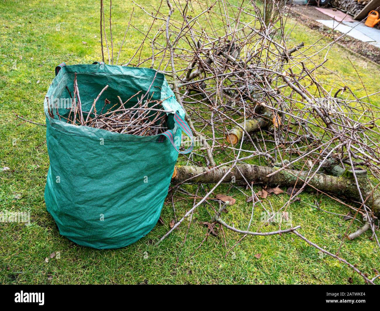 Tree hedge pruning waste hi-res stock photography and images - Alamy