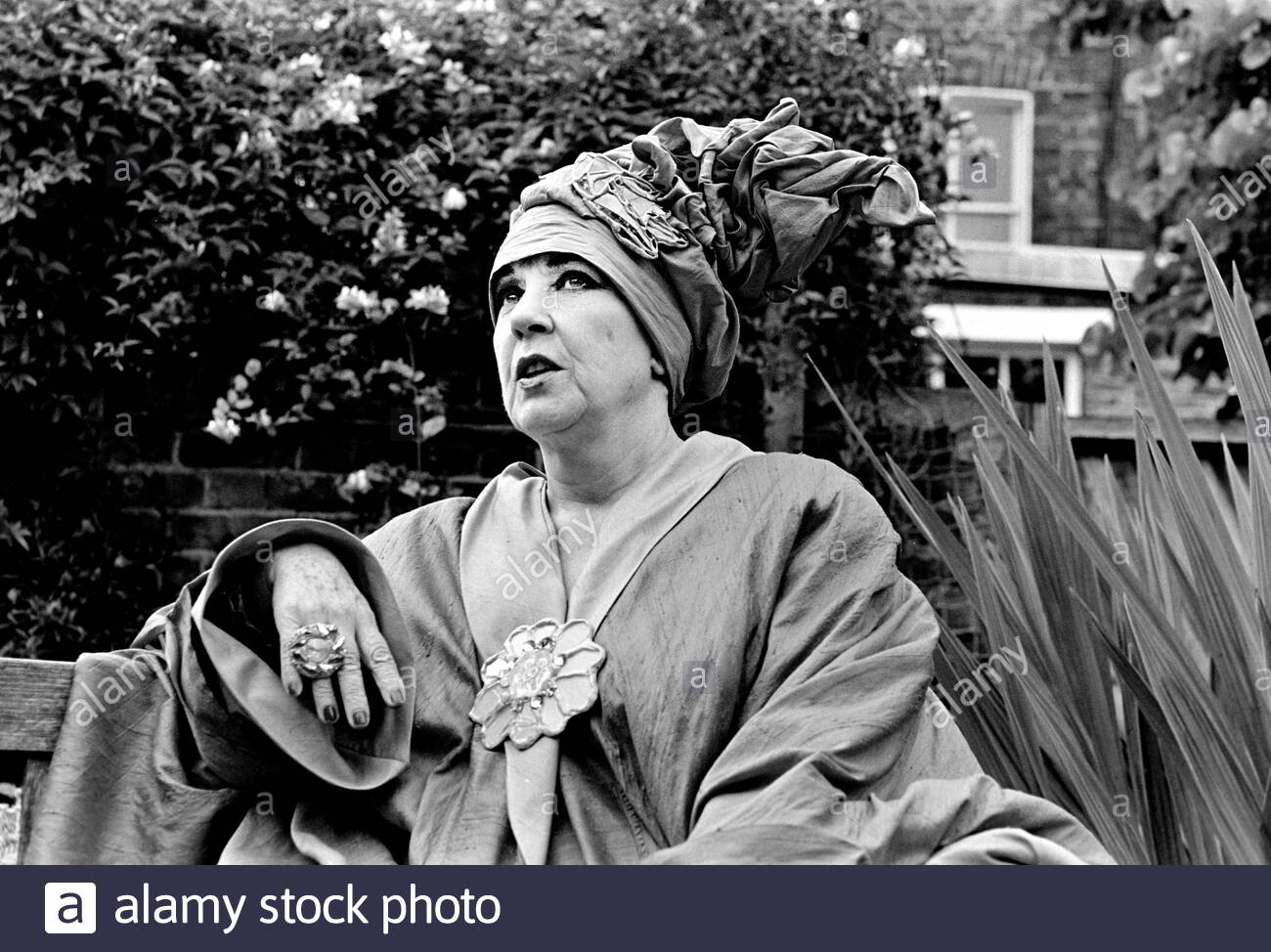 Molly Artist High Resolution Stock Photography and Images - Alamy