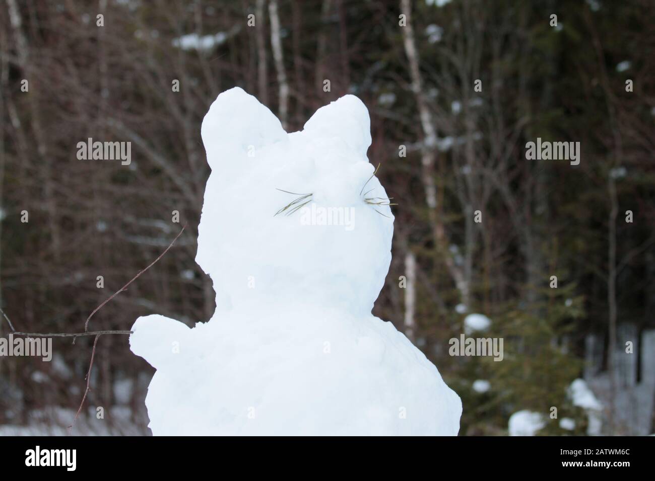 Winter forest snowman for celebration design. Winter nature. Forest ...