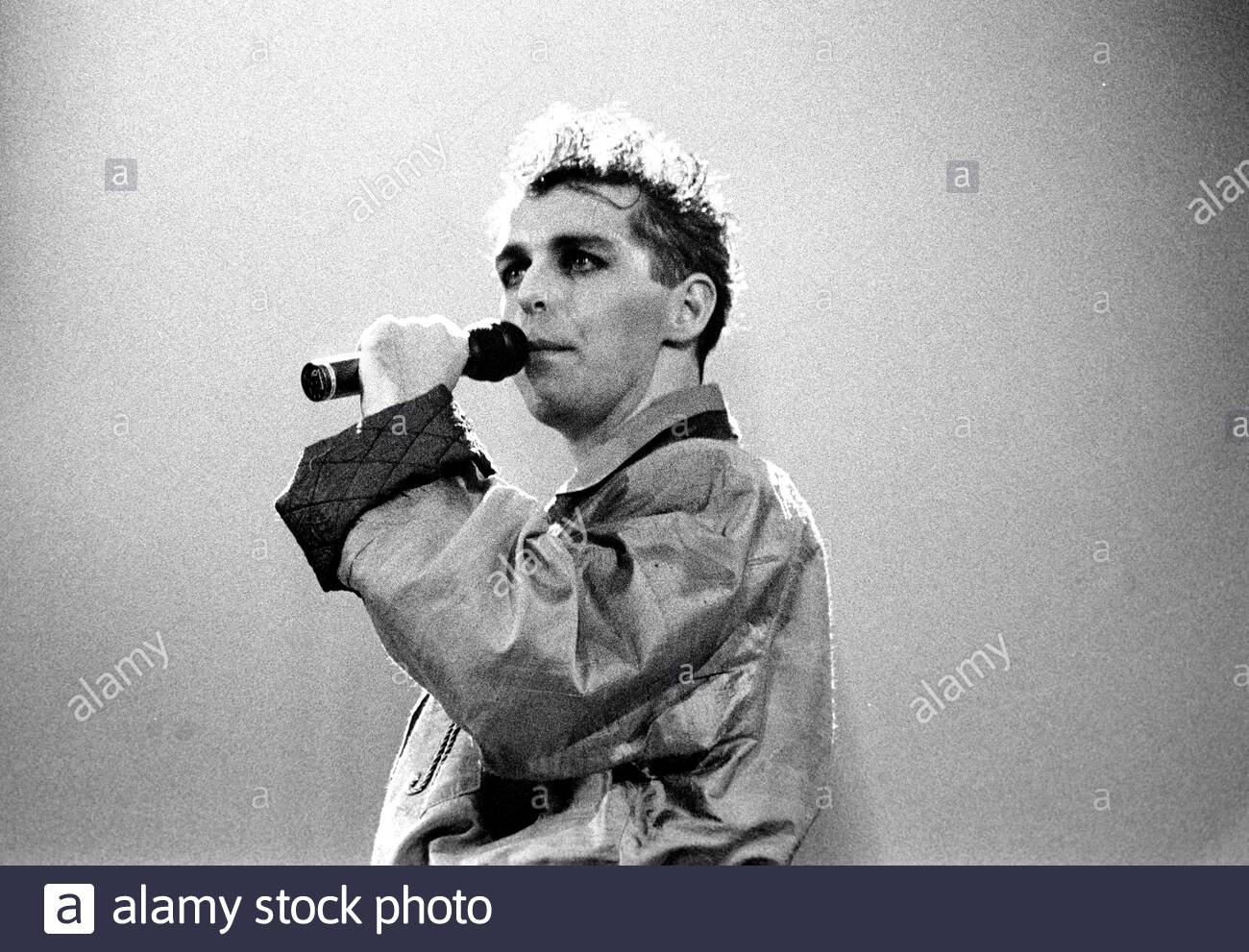 Chris Lowe High Resolution Stock Photography and Images - Alamy