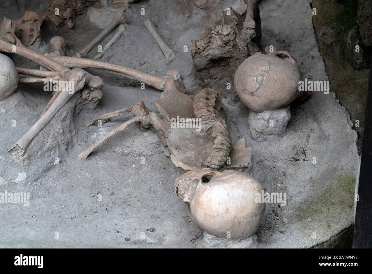 Ercolano Herculaneum fugitives skeletons on the beach detail Stock ...