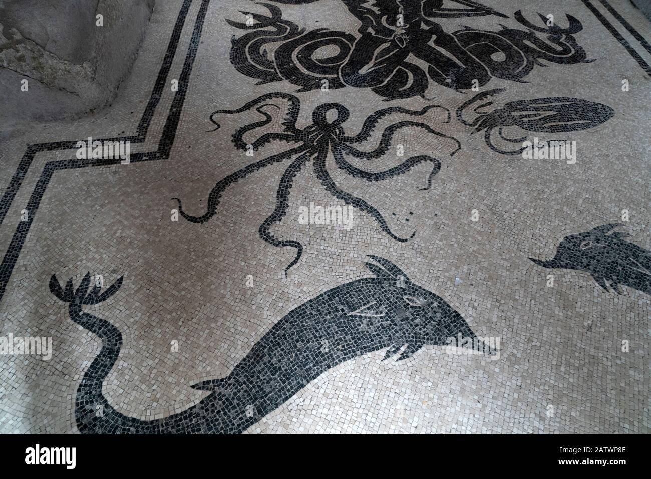 Ercolano Herculaneum ancient ruins view Stock Photo - Alamy