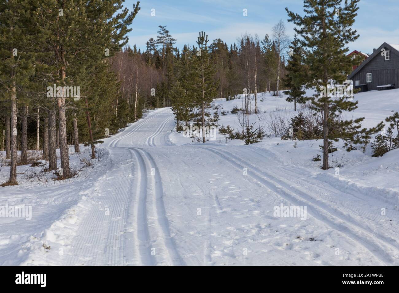 Cross country ski track tracks hi-res stock photography and images - Alamy