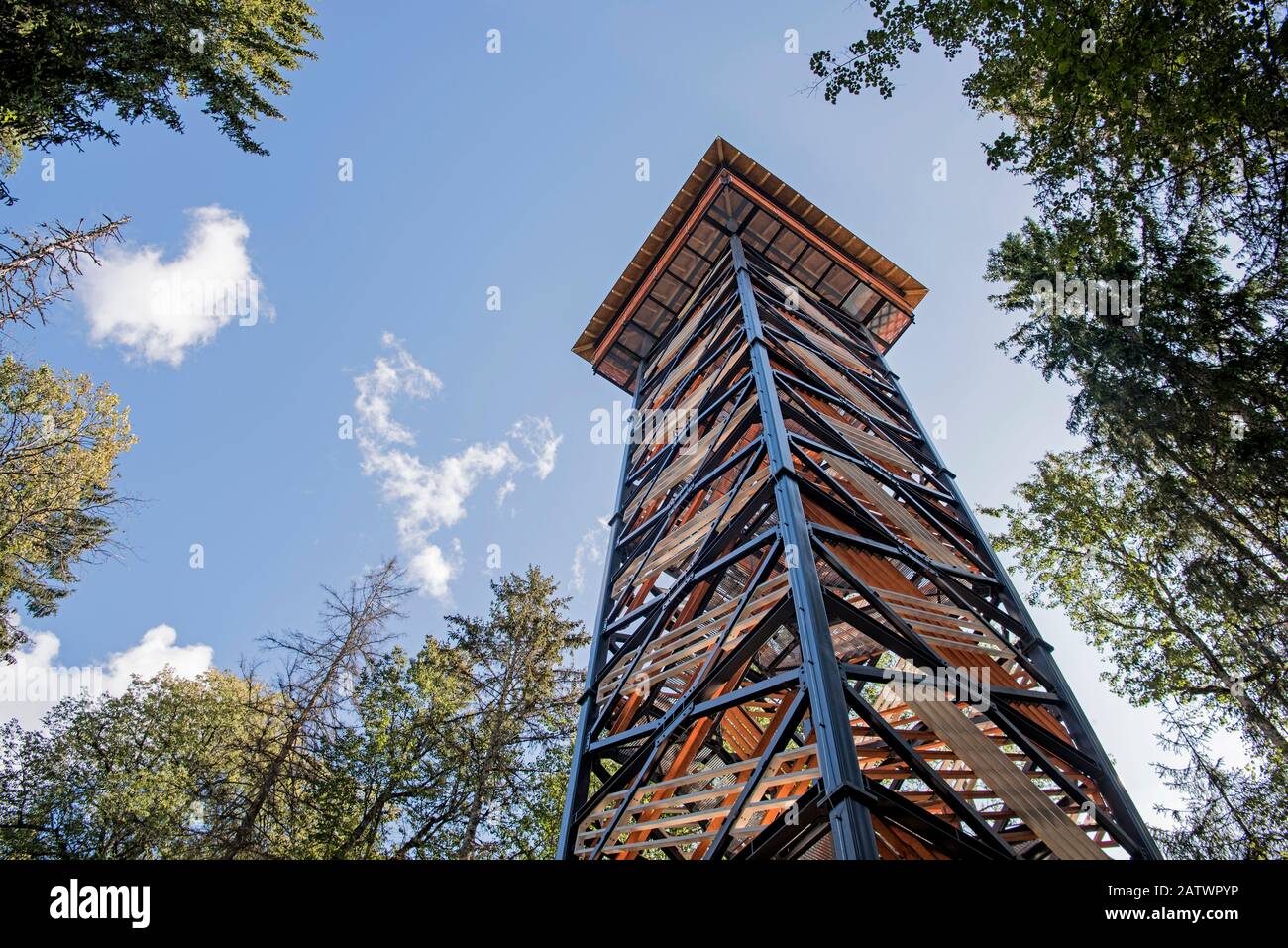 Tall wooden & metal lookout tower in forest. Sunny summer day Stock ...