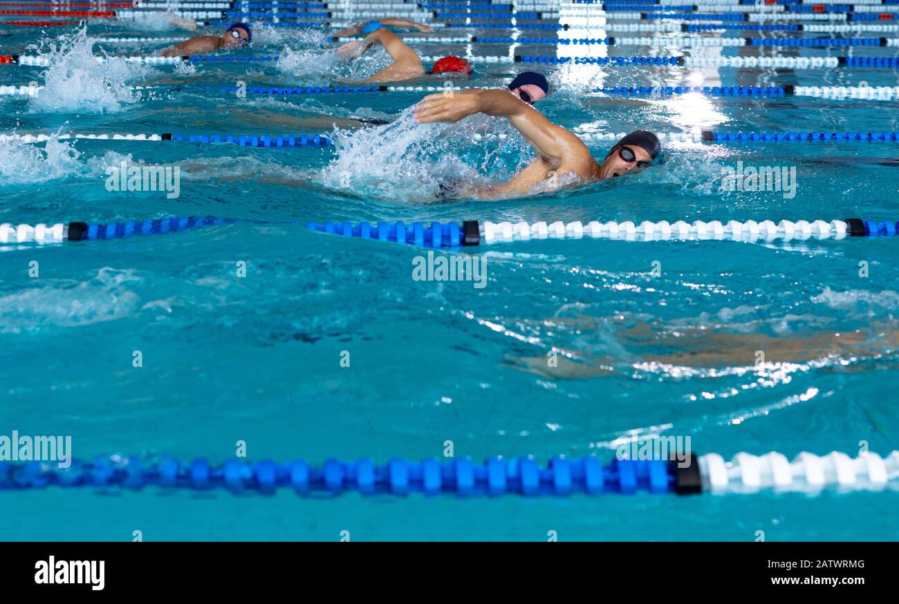 Swimmers swimming in the pool Stock Photo - Alamy