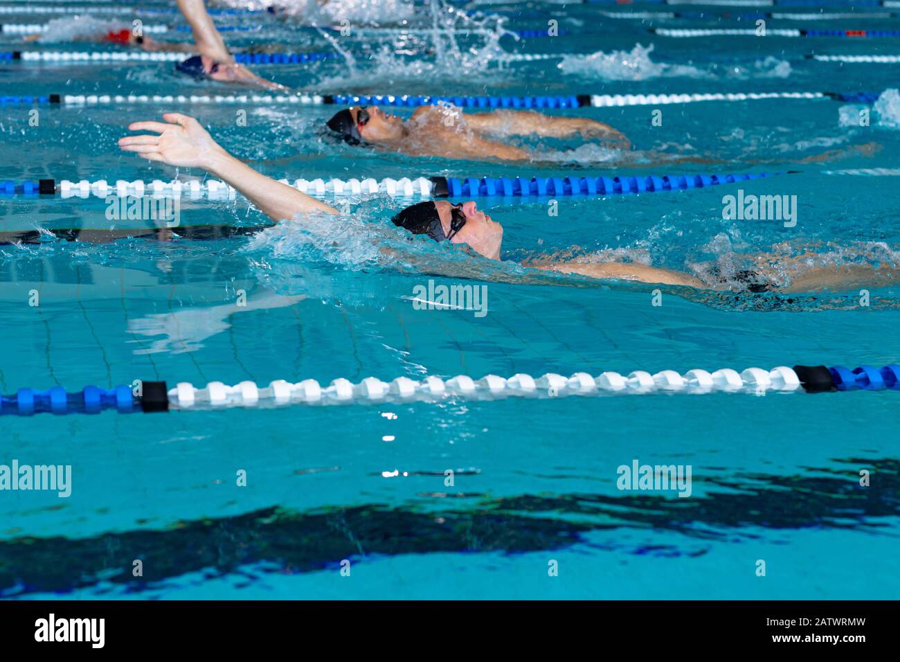 Swimmers swimming in the pool Stock Photo - Alamy