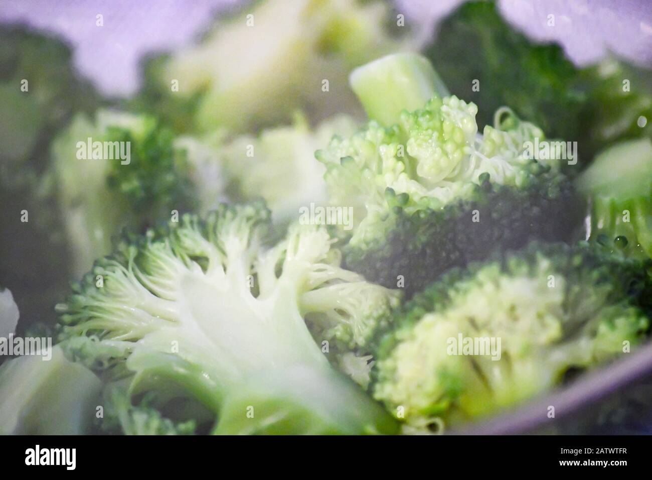 Broccoli shaped head hi-res stock photography and images - Alamy
