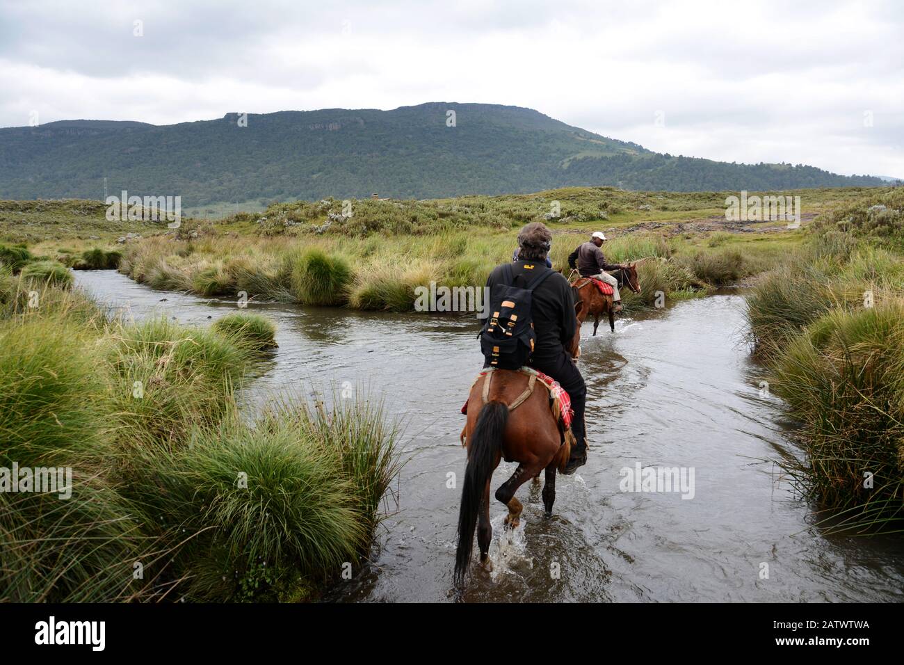 ethiopia bale mountains nationalpark Stock Photo - Alamy