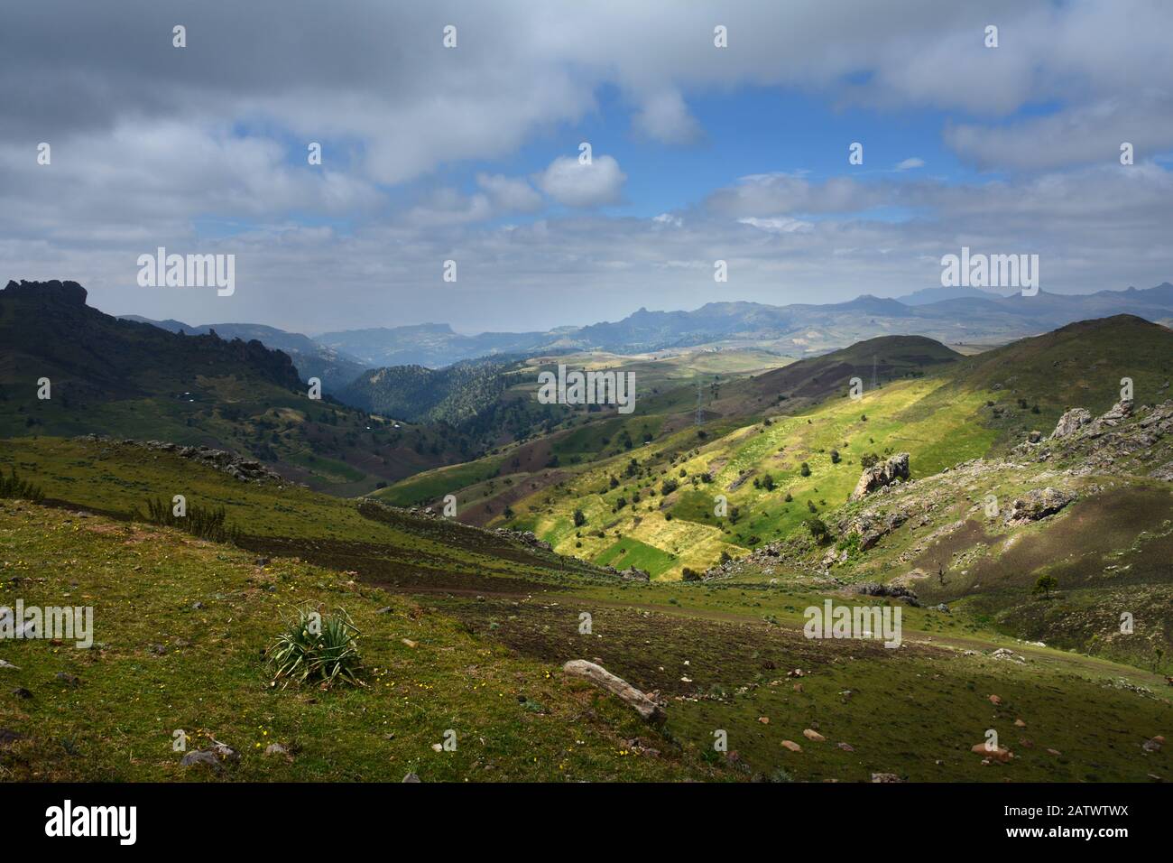 ethiopia bale mountains nationalpark Stock Photo - Alamy
