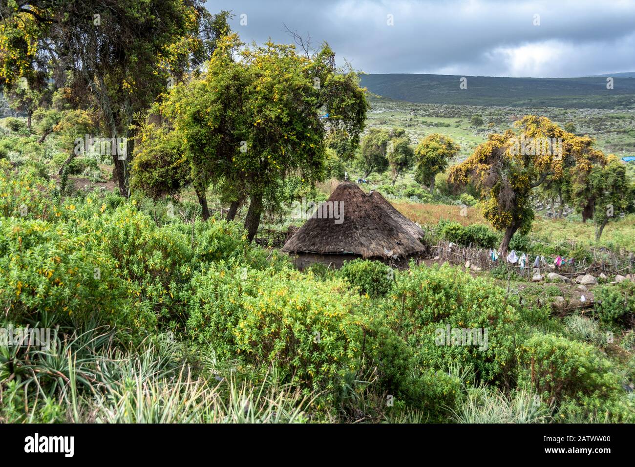 Bale nationalpark ethiopia hi-res stock photography and images - Alamy