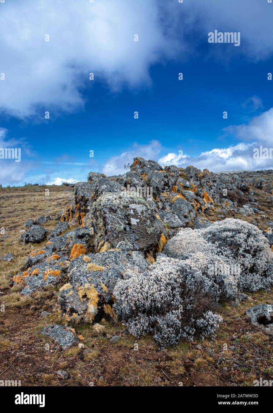 ethiopia bale mountains nationalpark Stock Photo - Alamy