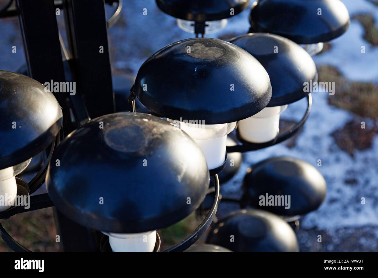 many funeral candles at memorial grove Stock Photo - Alamy