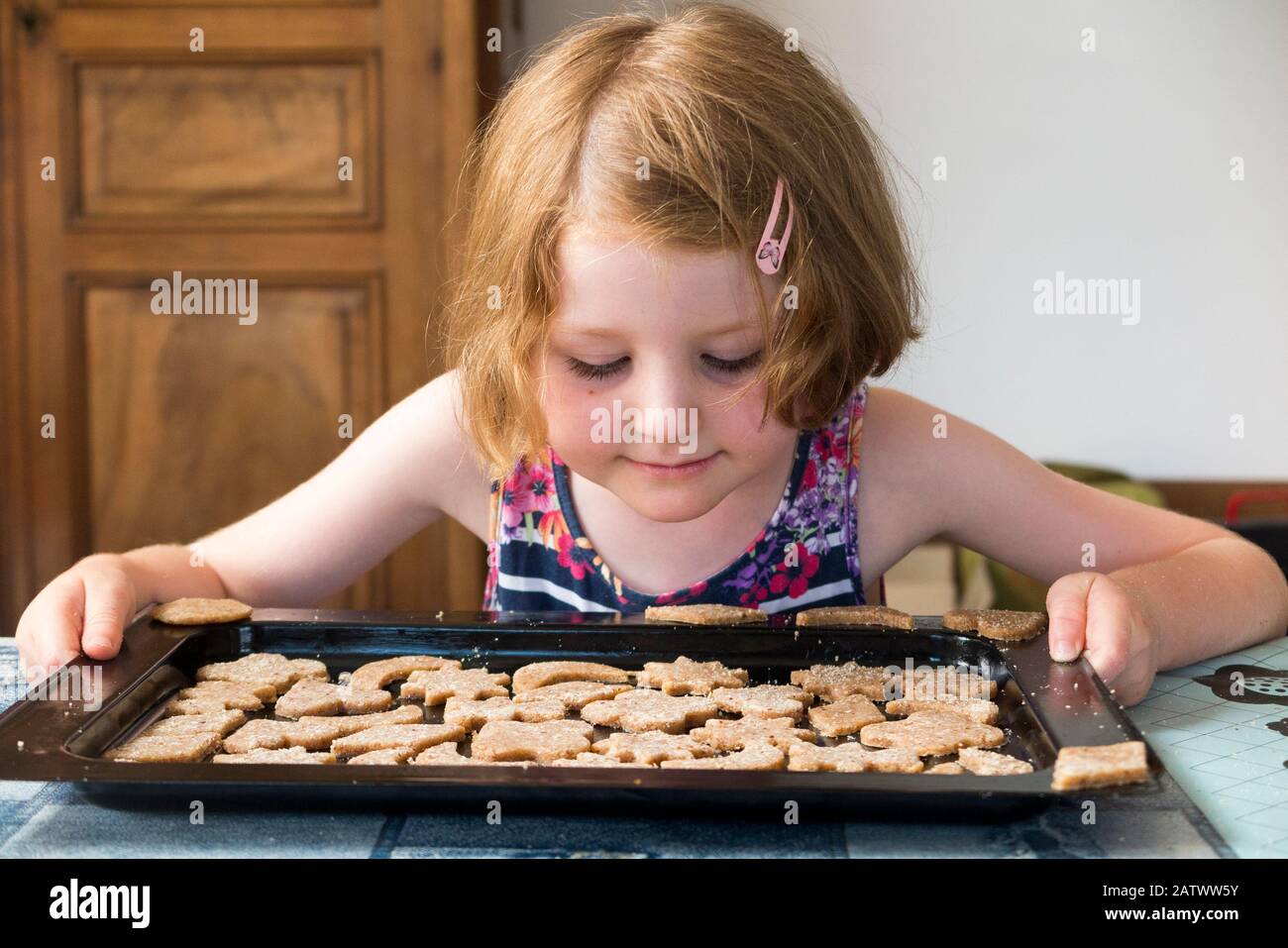 Girl aged 5 / five years using a pastry cutter while baking biscuit ...
