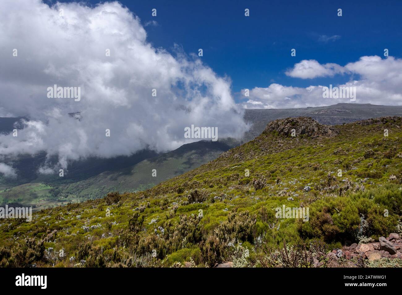 ethiopia bale mountains nationalpark Stock Photo - Alamy