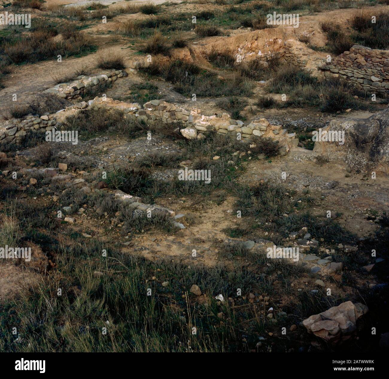 Celtiberian society hi-res stock photography and images - Alamy