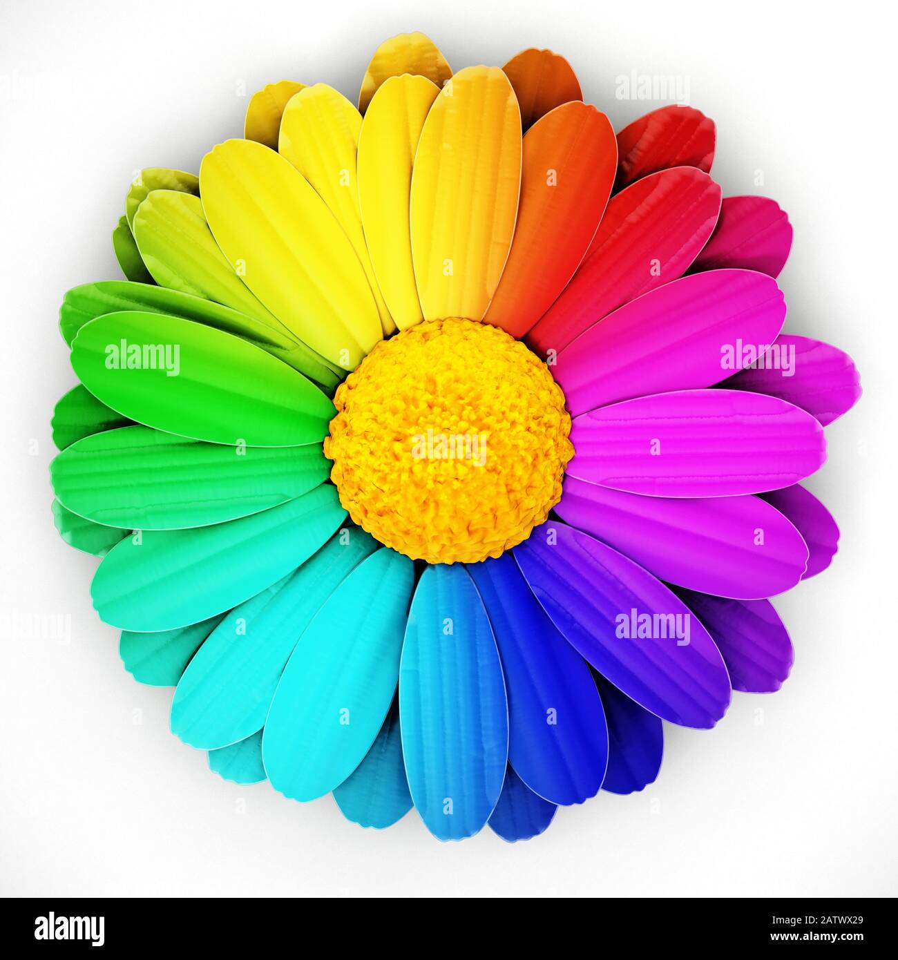Multi colored daisies isolated on white background. 3D illustration ...