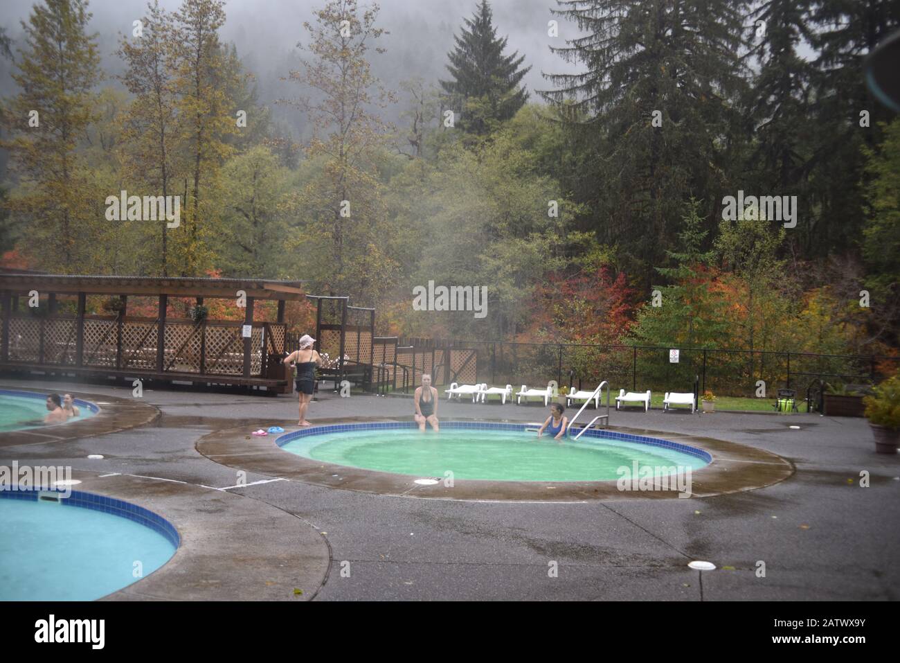 Are Dogs Allowed At Sol Duc Hot Springs