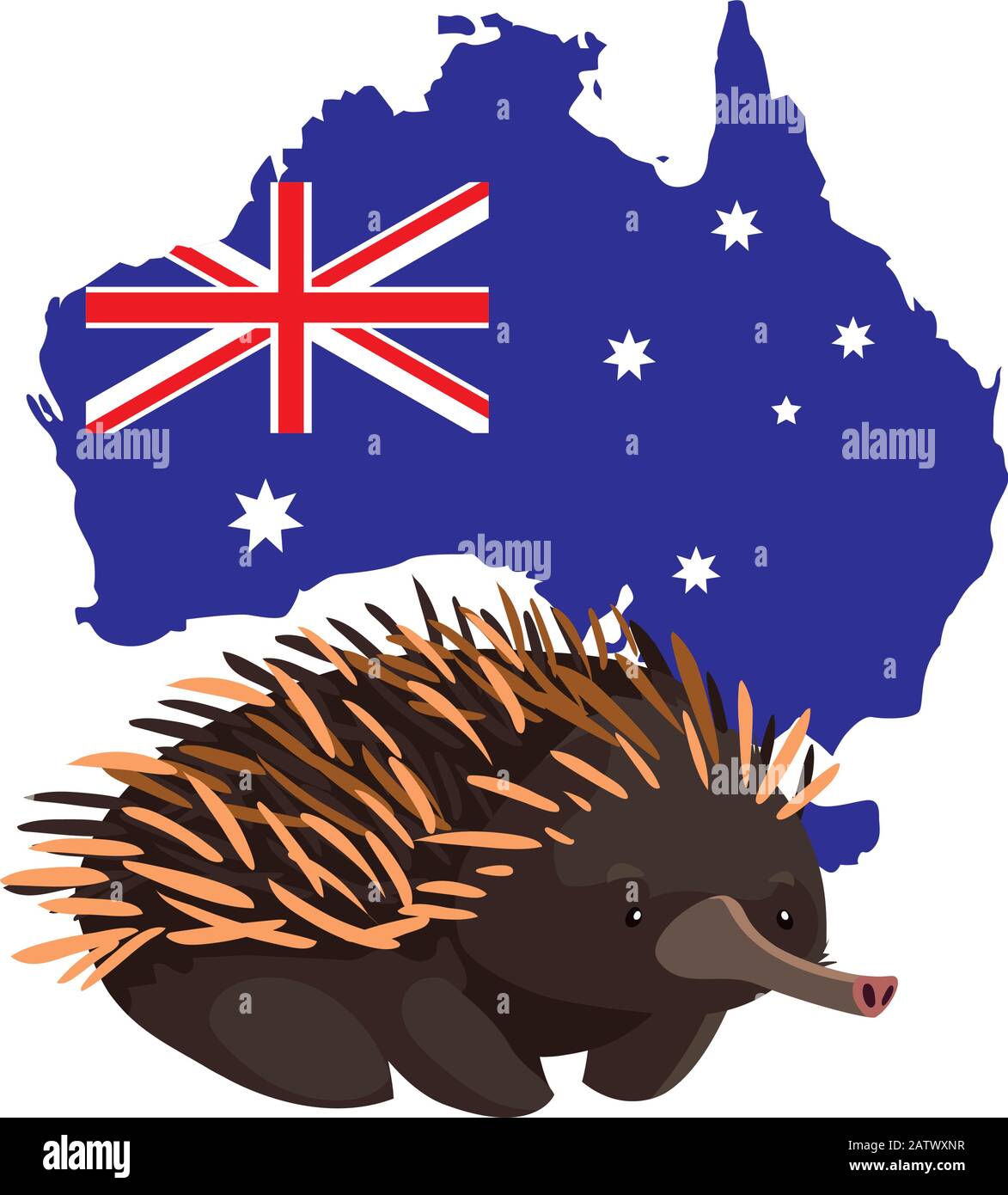echidna with map of australia in the background vector illustration ...