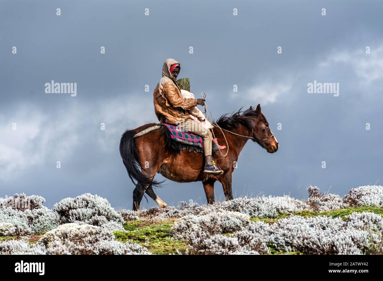 ethiopia bale mountains nationalpark Stock Photo - Alamy
