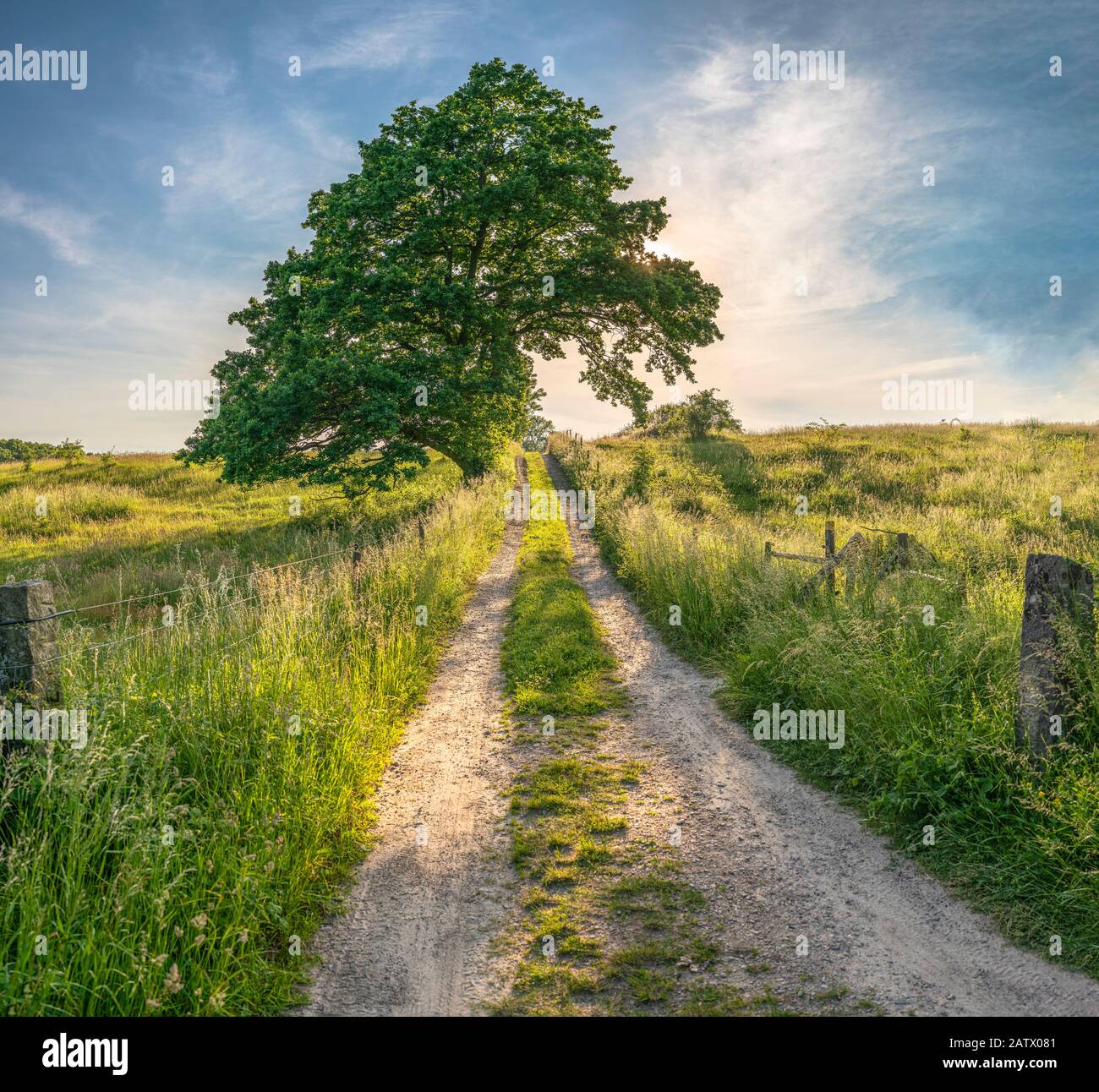 Daylight rural road hi-res stock photography and images - Alamy