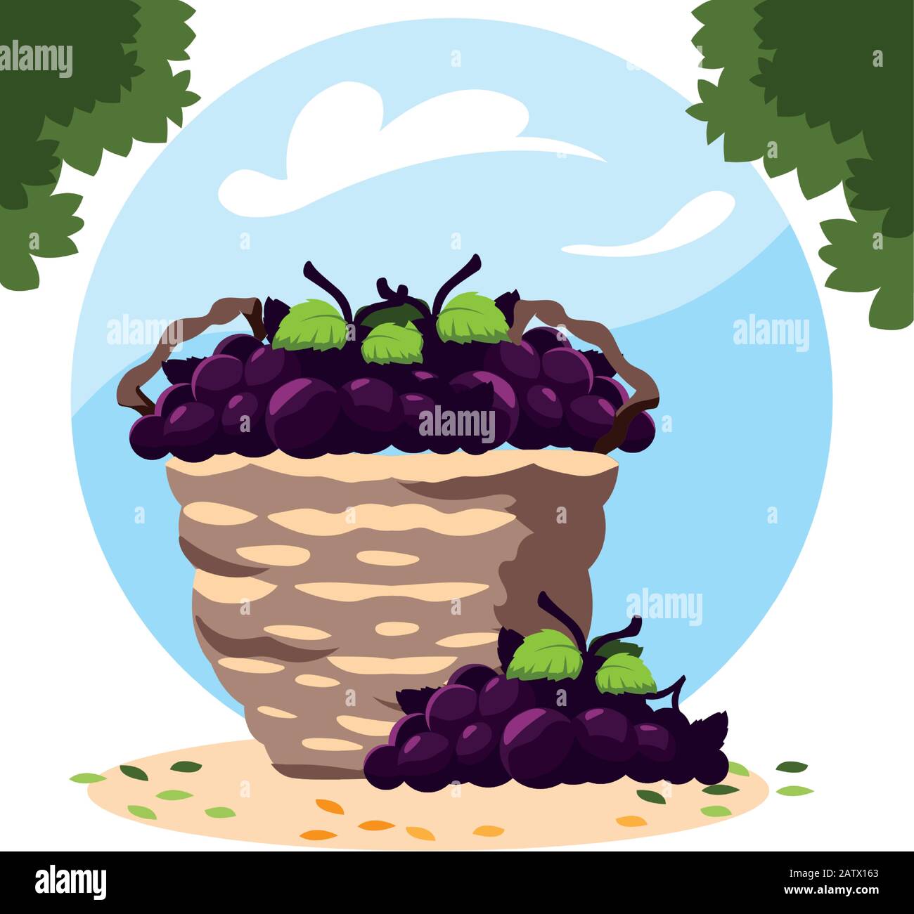 Grape branch icon cartoon hi-res stock photography and images - Alamy