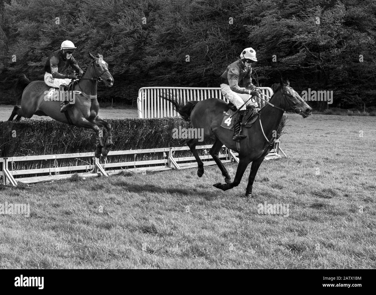 Jump riders racing at point to point hi-res stock photography and ...