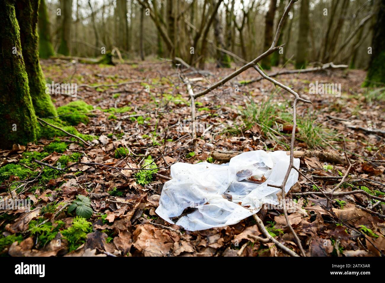 Litter in the UK countryside. Rubbish left by walkers during Covid19 ...
