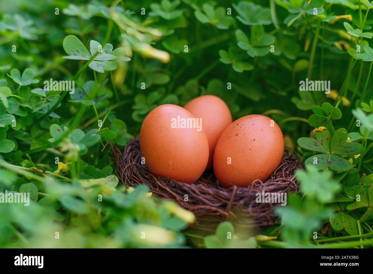 Colorful painted easter egg poland hi-res stock photography and images ...