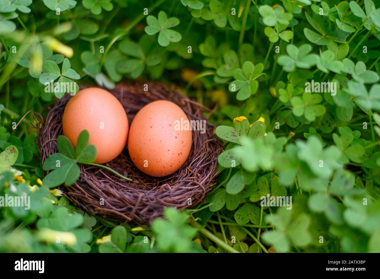 Colorful painted easter egg poland hi-res stock photography and images ...