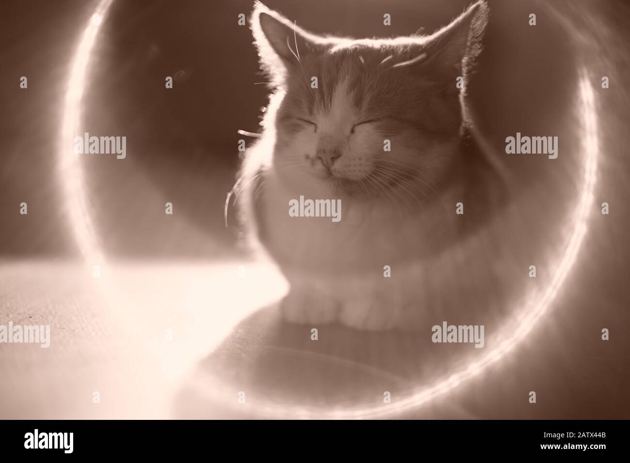 The holy sickle hi-res stock photography and images - Alamy