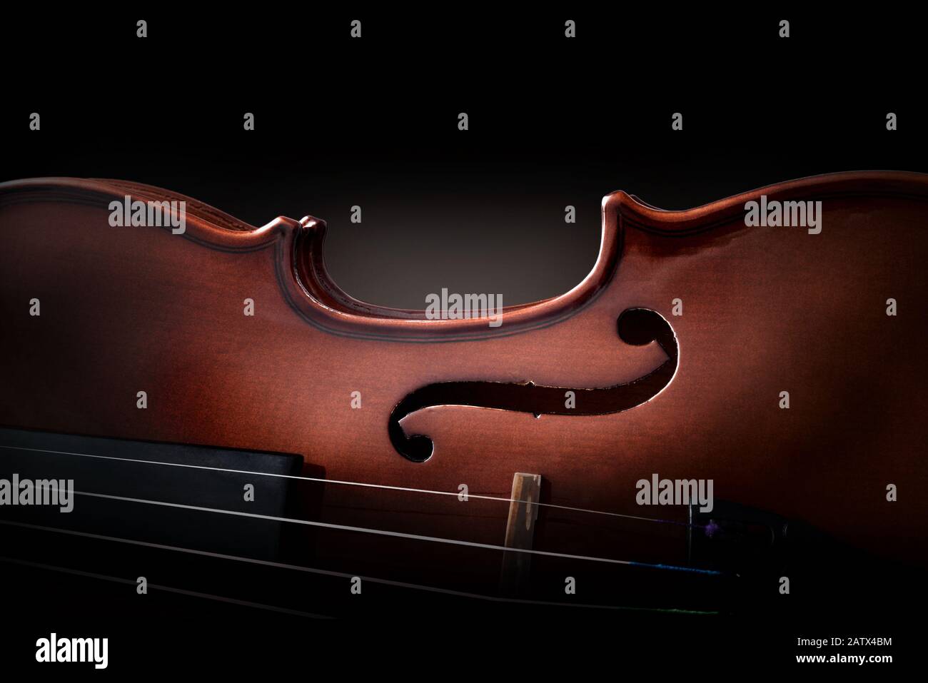 Violin body and strings detail isolated black background. Front view ...