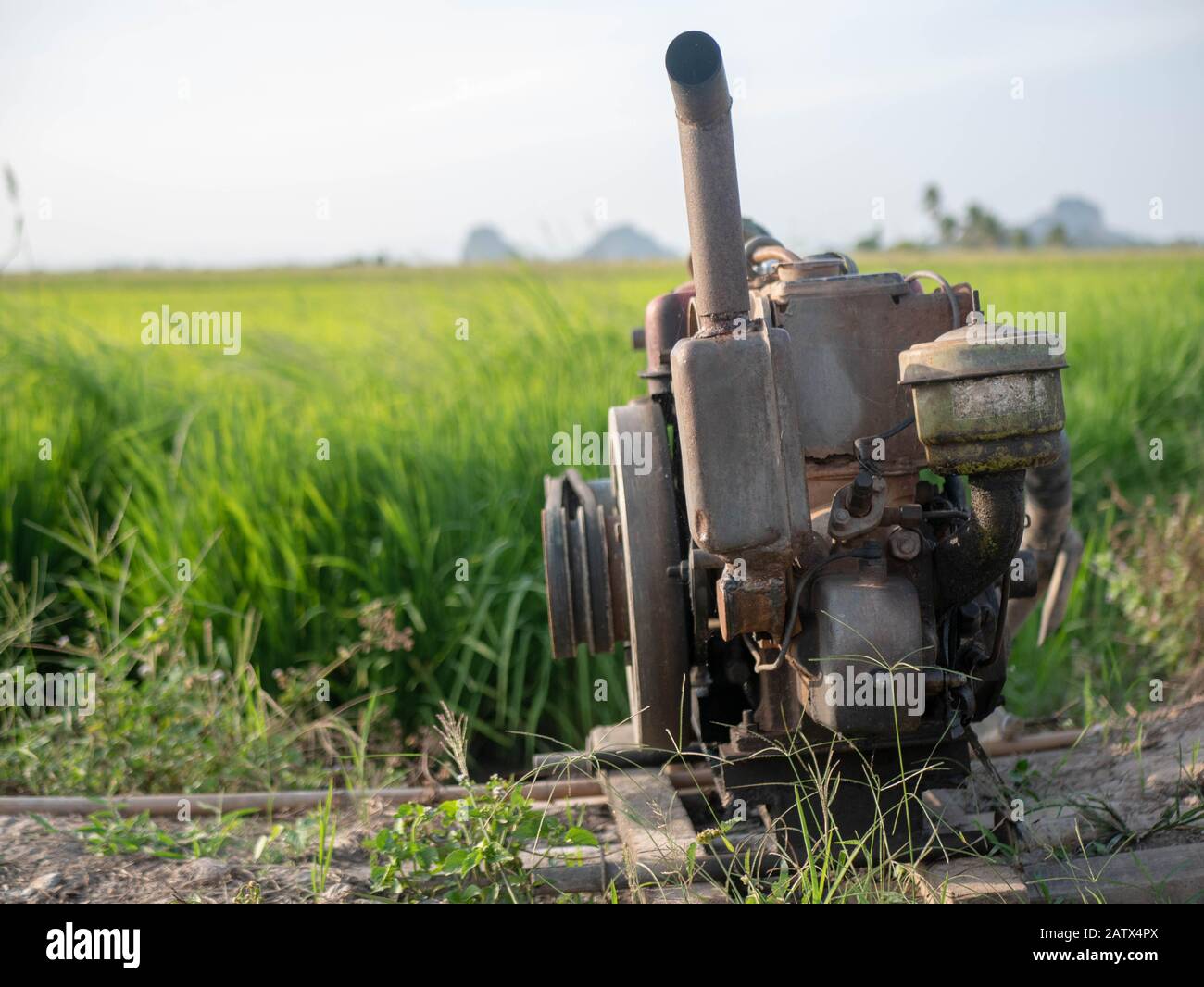 Water pump by the paddy field Stock Photo - Alamy